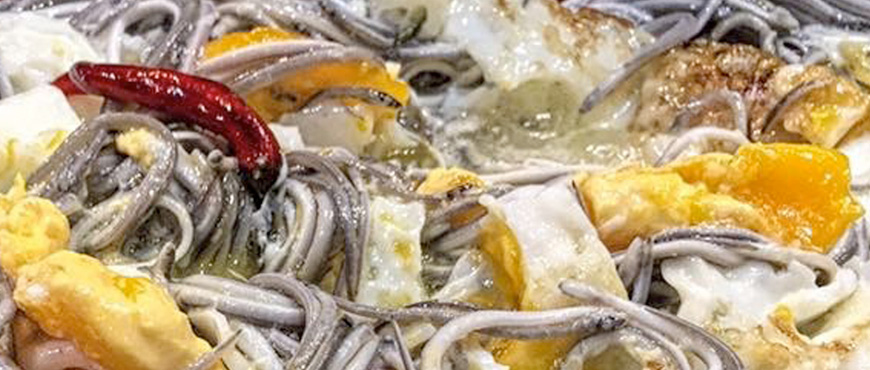 Receta de Angulas con huevo frito, una delícia - Angulas Roset